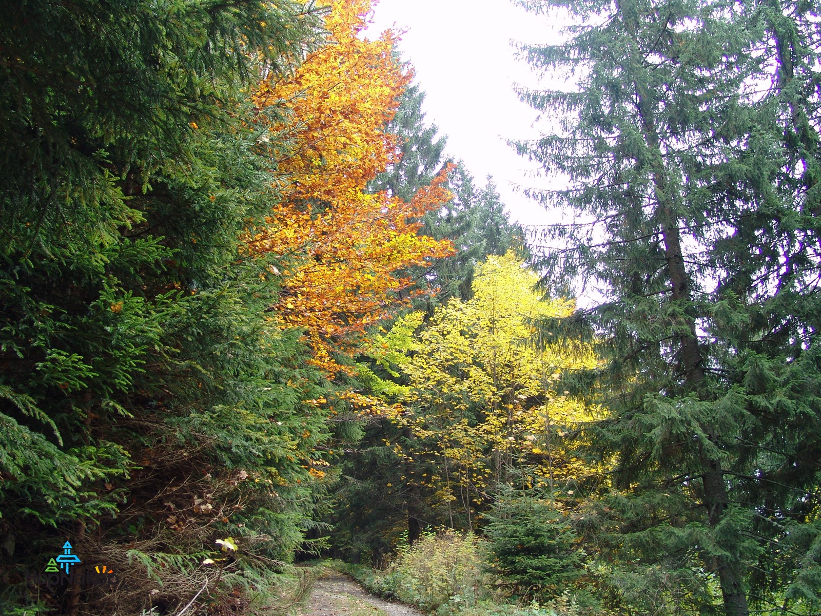 Vodopad Jelovarnik - Pešačke ture na Kopaoniku - HopNaKop Kopaonik